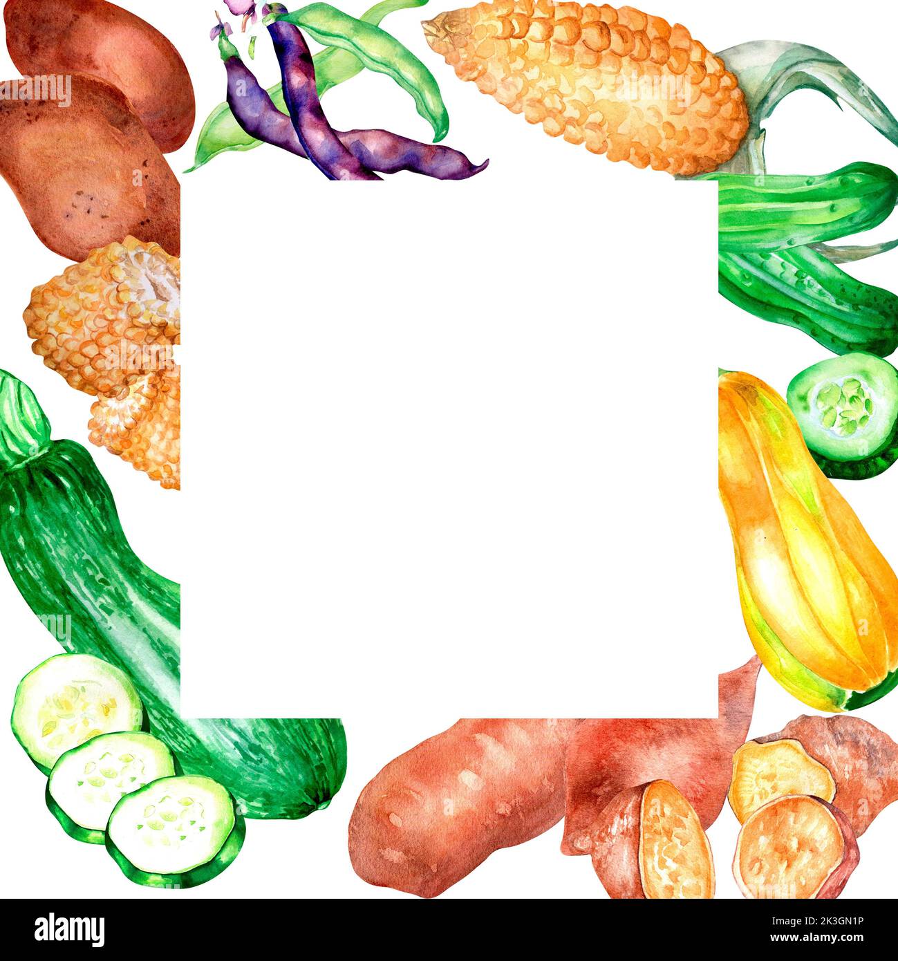 Variety of vegetables frame watercolor illustration isolated. Potatoes ...