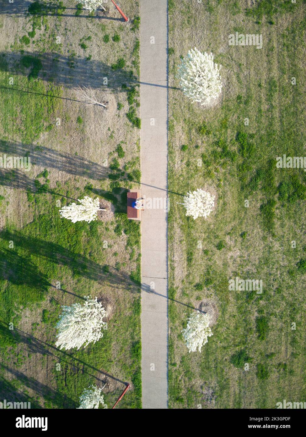 Pathway in a park aerial view with trees in white and green grass in ...