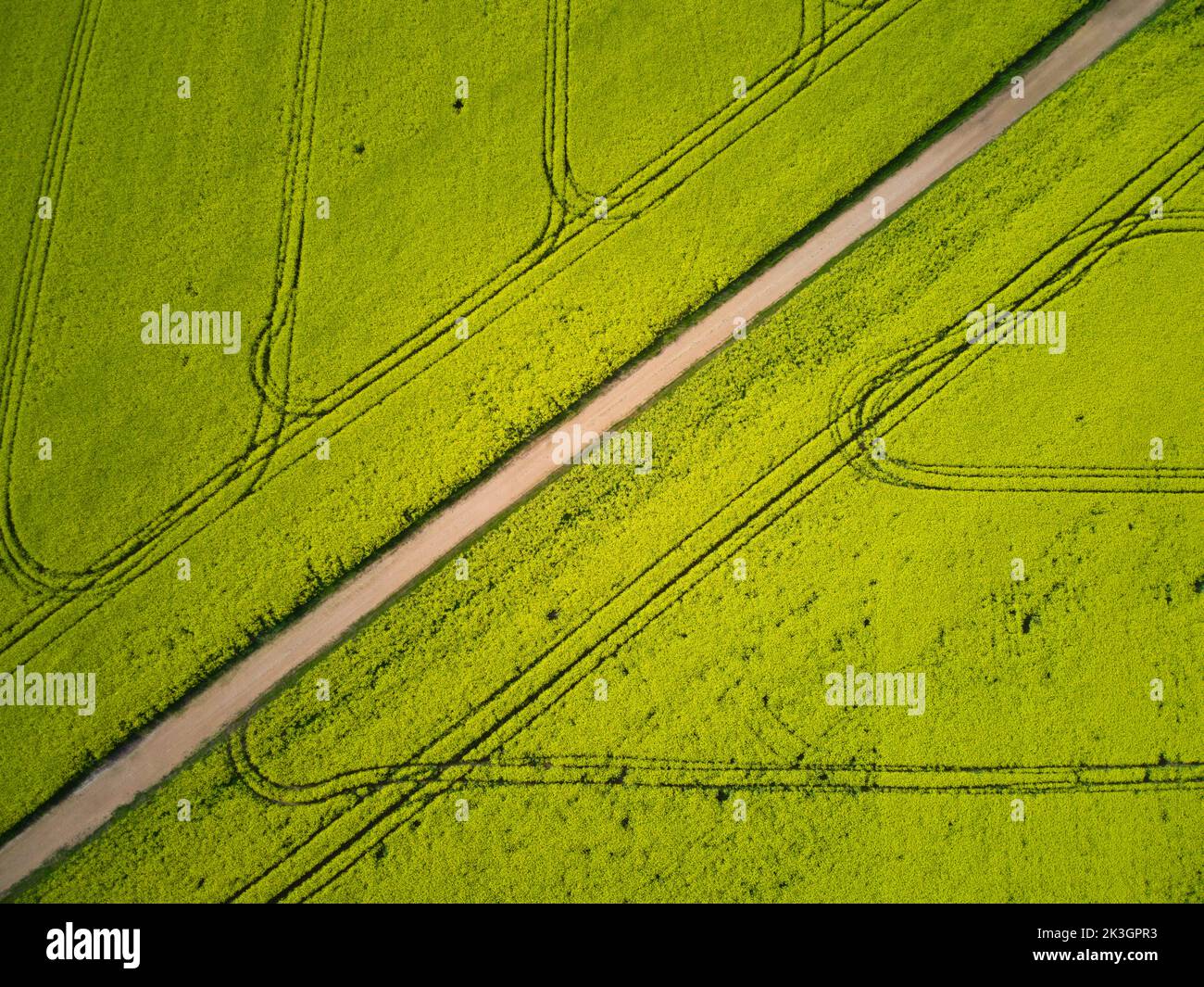 Canola field Australia aerial view showing dirt farming road and ...