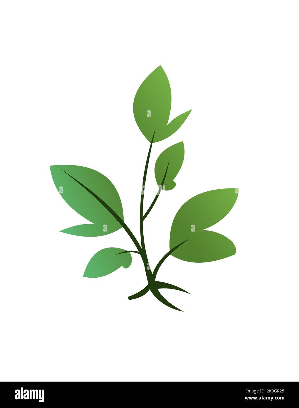 Seedling garden plants with roots. Sowing agricultural material ...