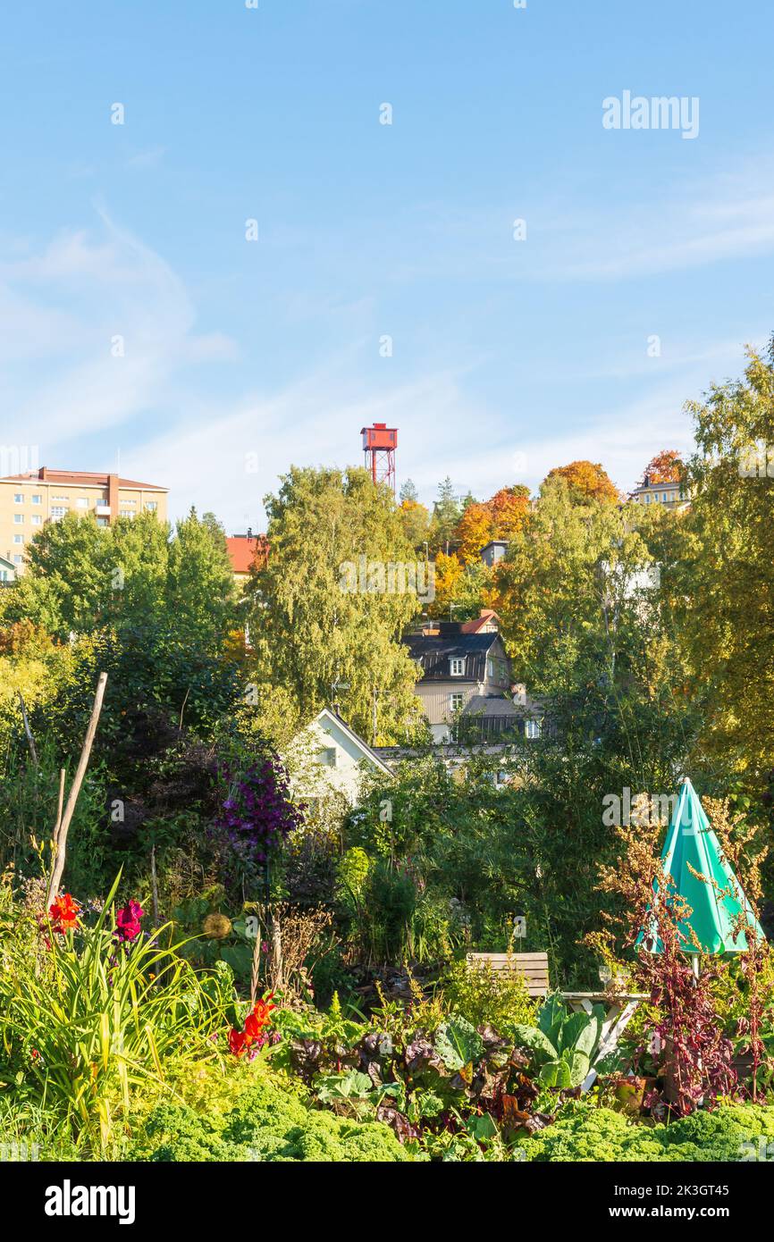 Autumnal foliage on Pispala ridge with red Pispala Shot Tower ...