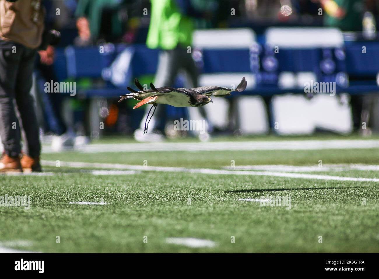 Sean hawk hi-res stock photography and images - Alamy