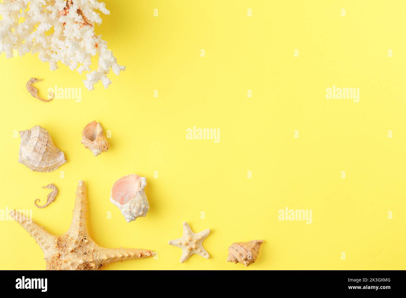 Summer holiday background with beach items Stock Photo - Alamy