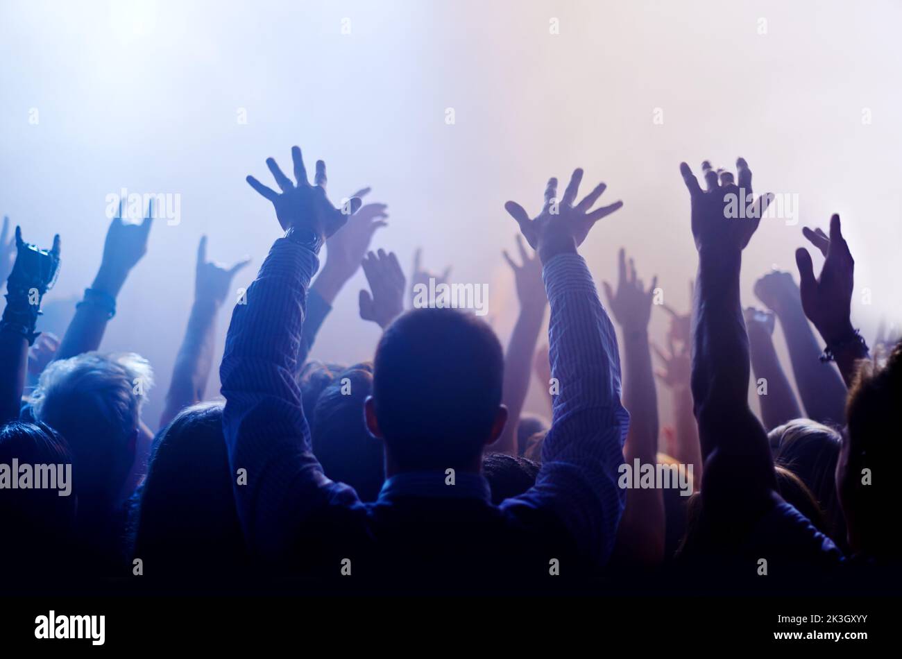 Its live music or nothing for true fans. adoring fans at a rock concert ...