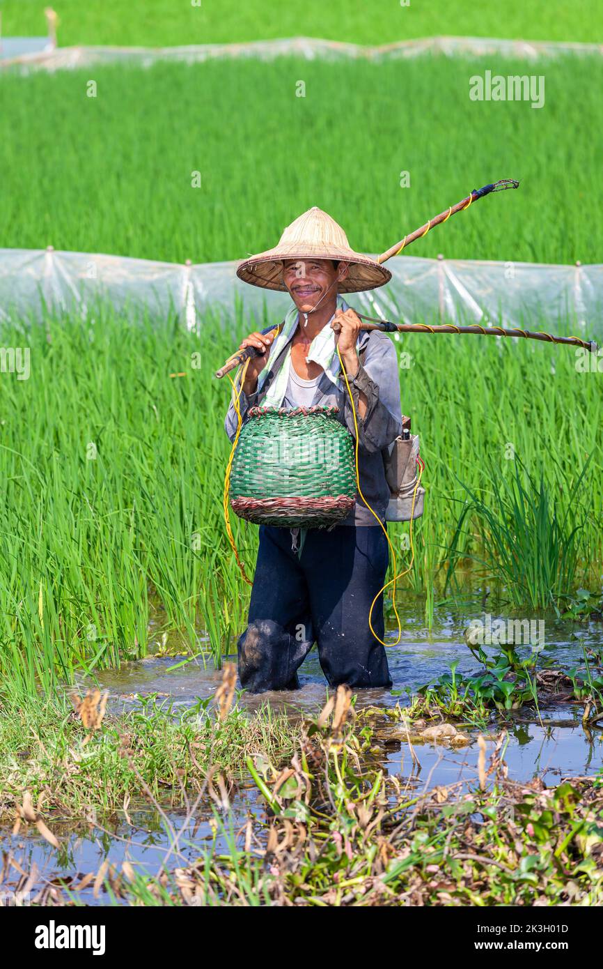 Vietnamese Rice Paddy Hat