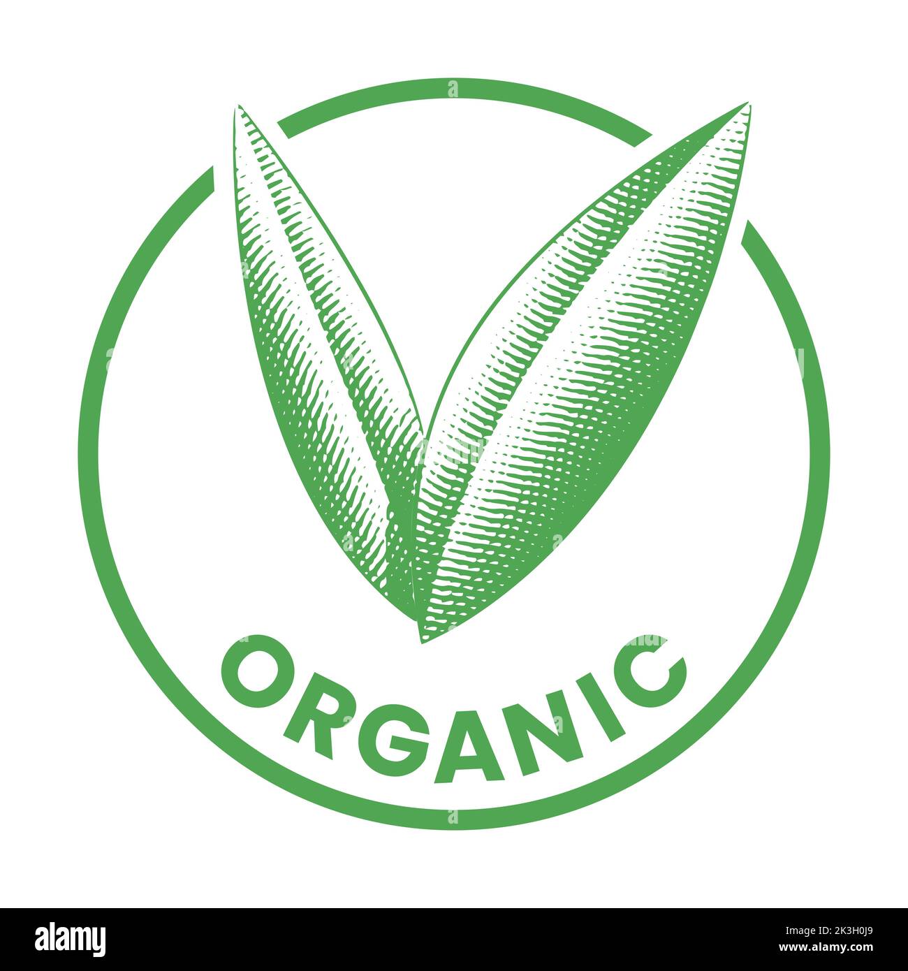 Organic Round Icon with Engraved Green Leaves isolated on a White ...