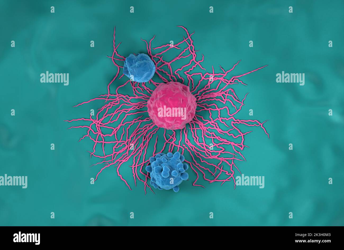 Thyroid cancer cells - top view 3d illustration Stock Photo - Alamy