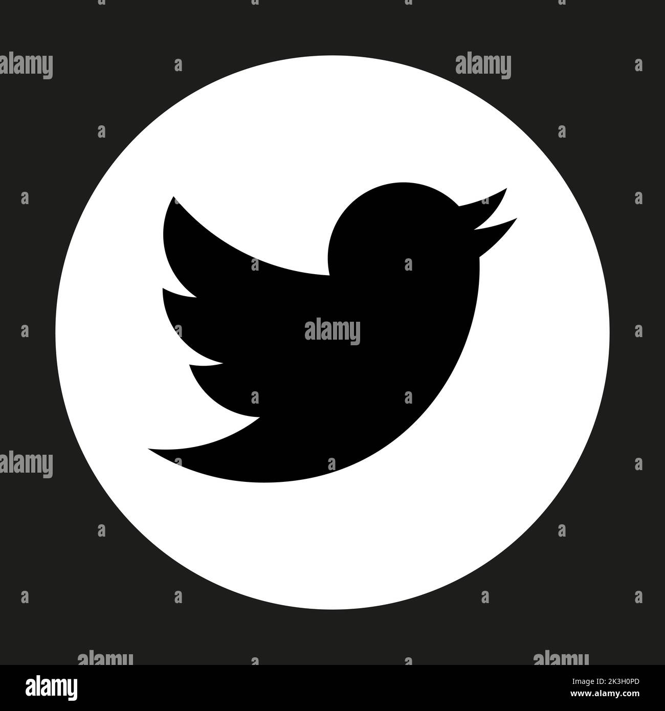 Twitter social media app icon Stock Vector Image & Art - Alamy