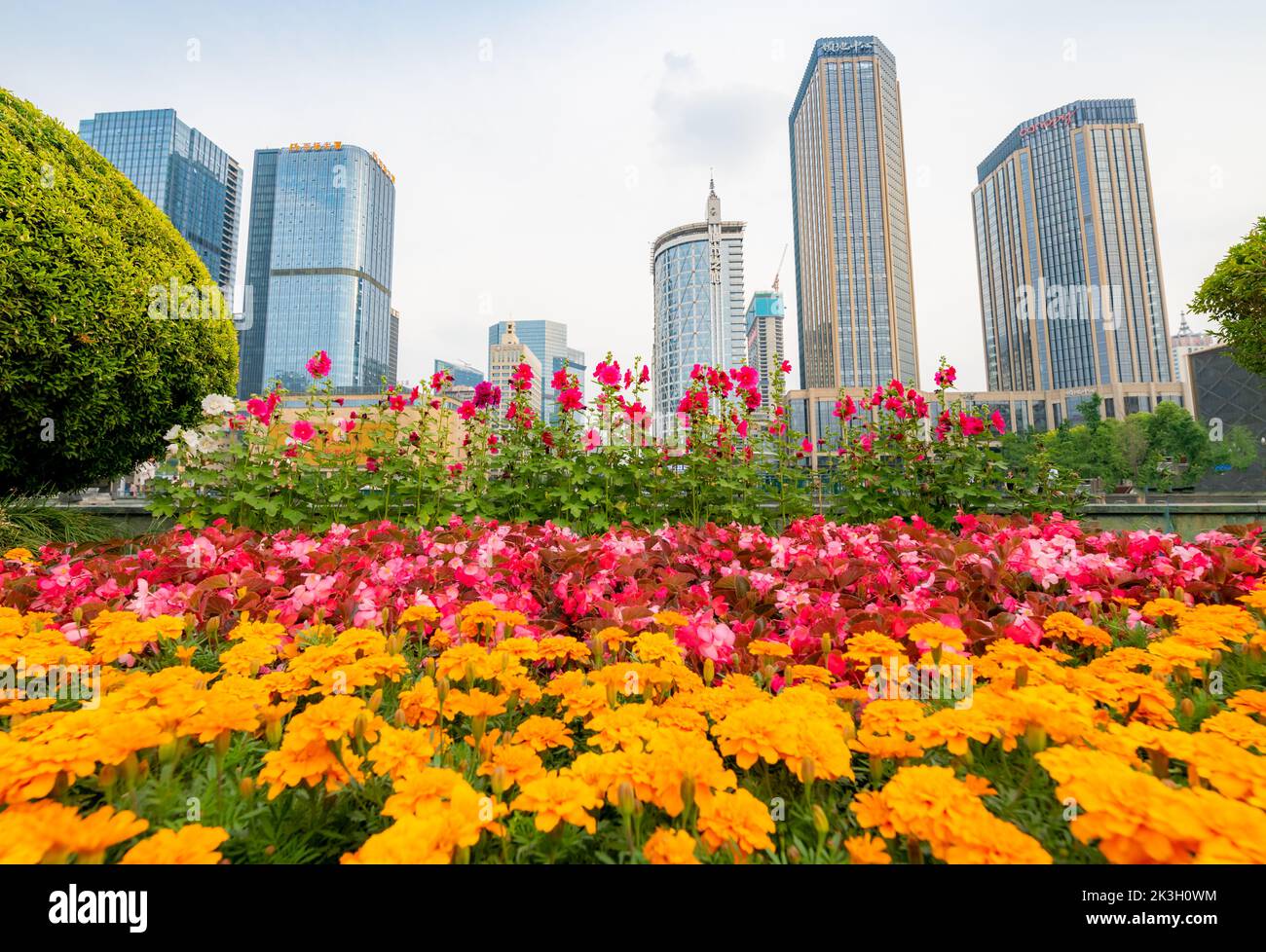 Tianfu Square, Chengdu, Sichuan, China Stock Photo - Alamy