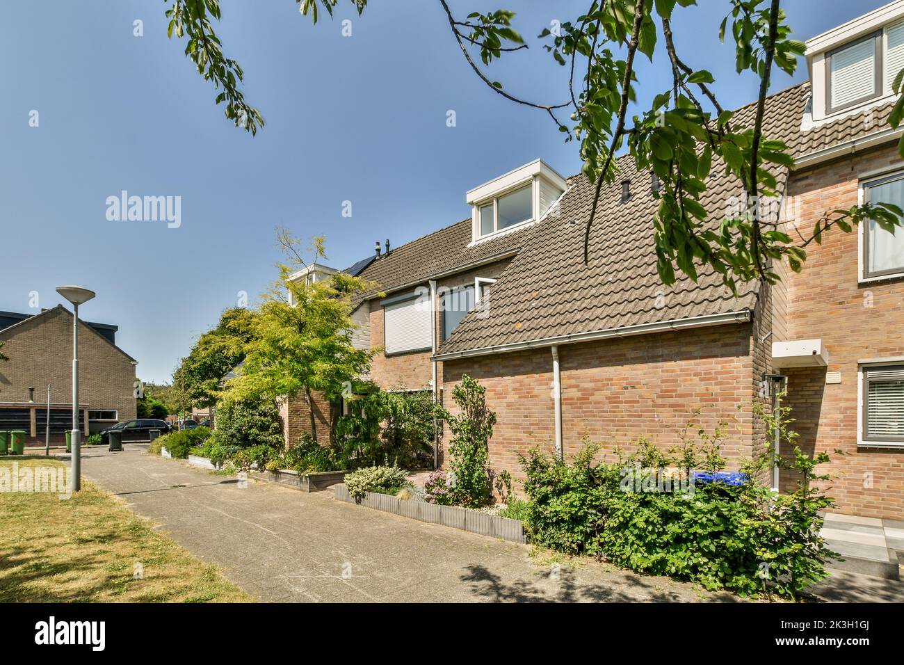 View of street near building with beauty of vegetation outside Stock ...
