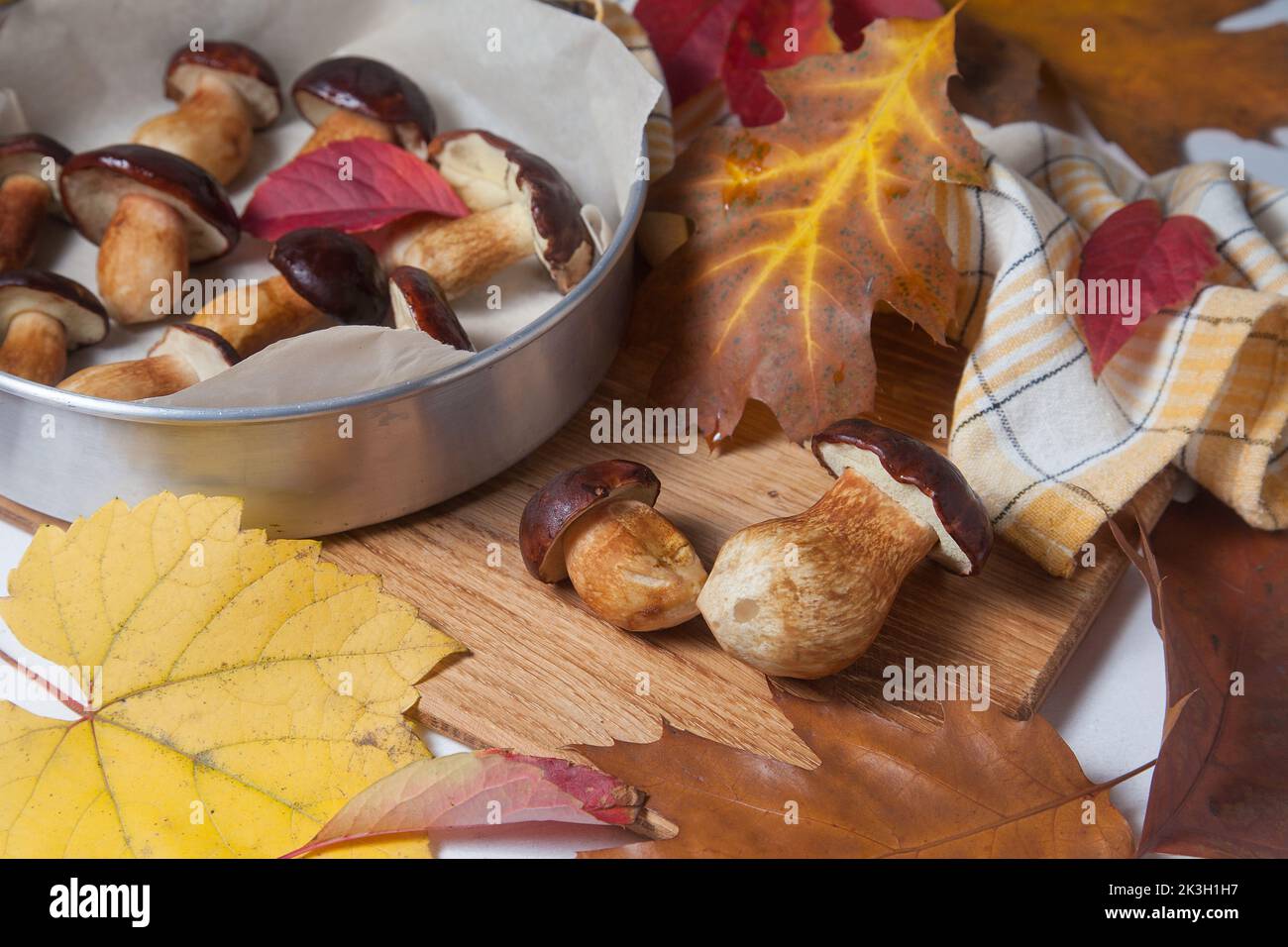 Autumn composition of several Imleria Badia or Boletus badius mushrooms ...