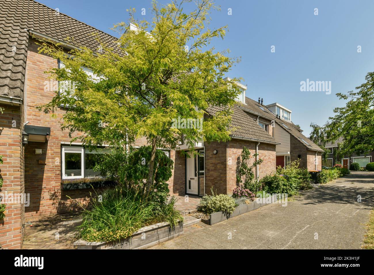 View of street near building with beauty of vegetation outside Stock ...