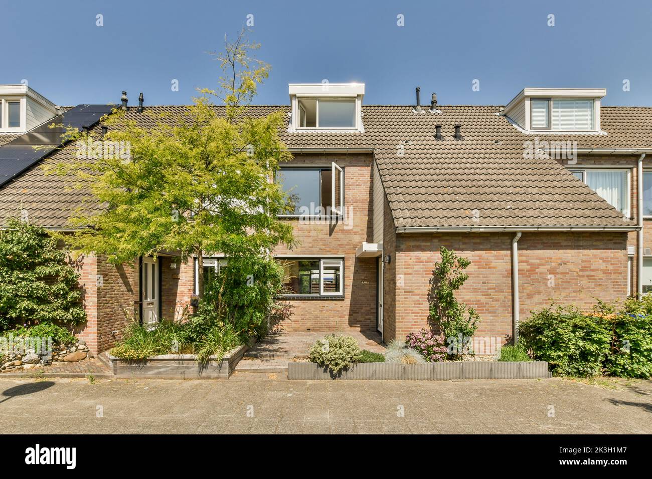 View of street near building with beauty of vegetation outside Stock ...
