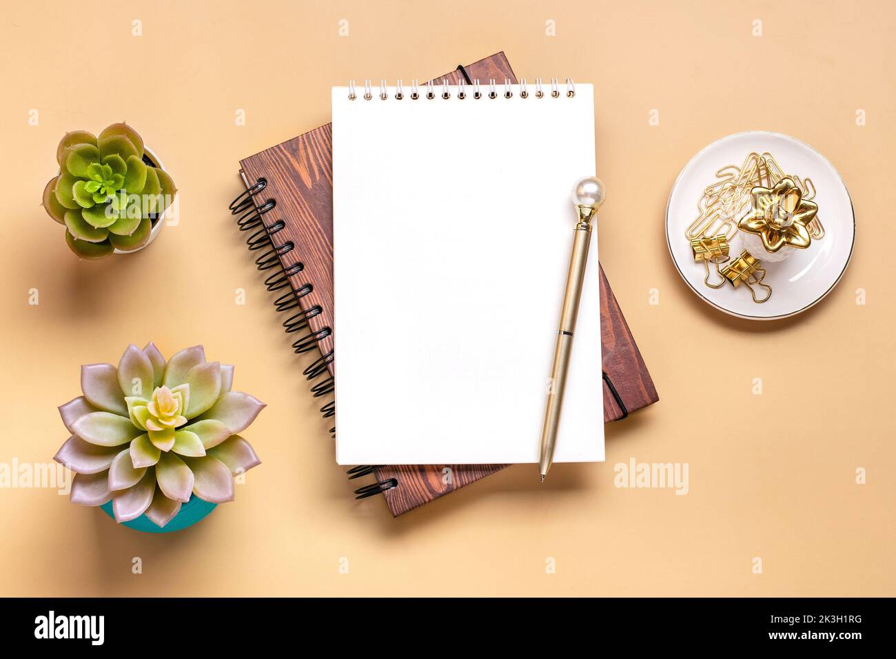 open notepad, home plant, golden pen on beige background spiral ...