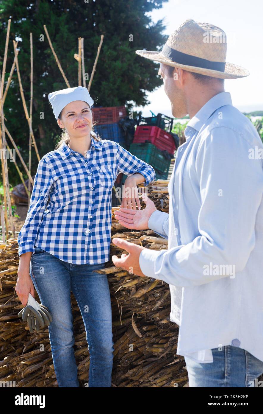 Italian agricultural workers woman hi-res stock photography and images ...