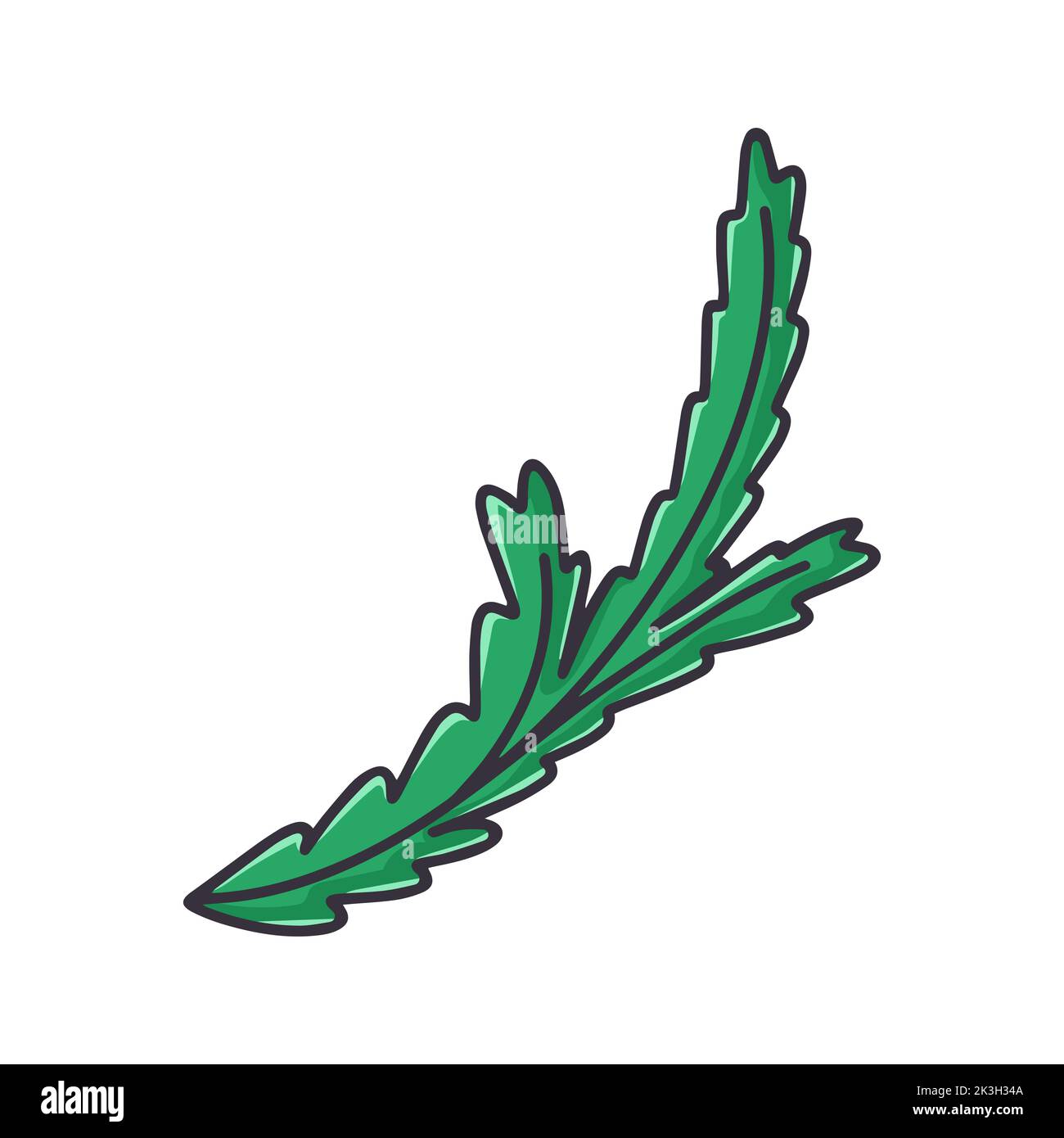 Fir branch cartoon clipart. Natural christmas decoration pine branch ...