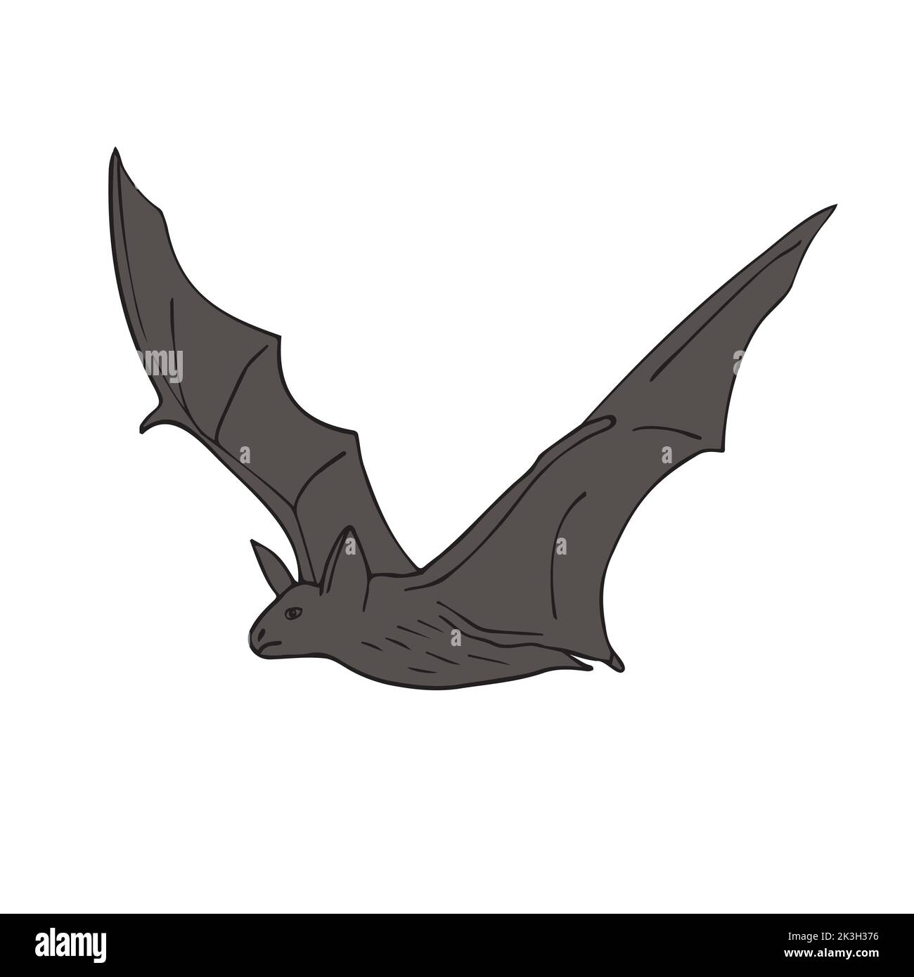 Vector hand drawn doodle sketch colored bat isolated on white ...