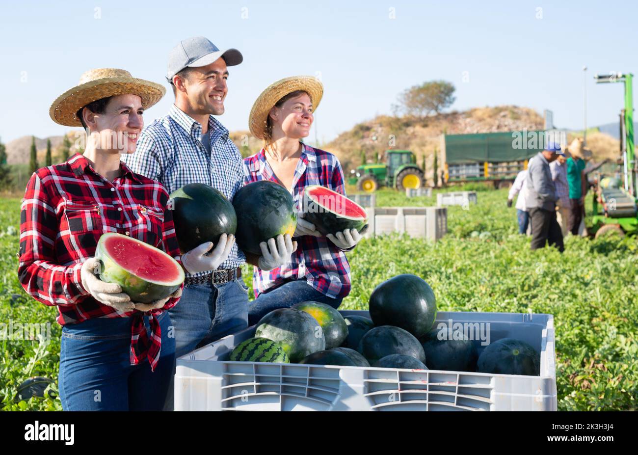 Smiling plantation workers holding ripe watermelons Stock Photo - Alamy