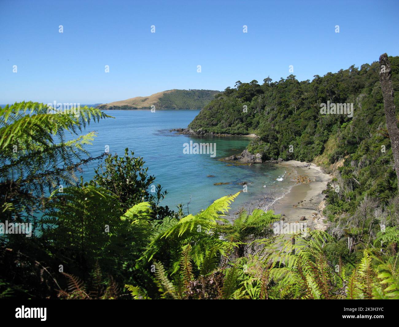 Beach. The North West Circuit. Stewart island Rakiura. Southland. New ...