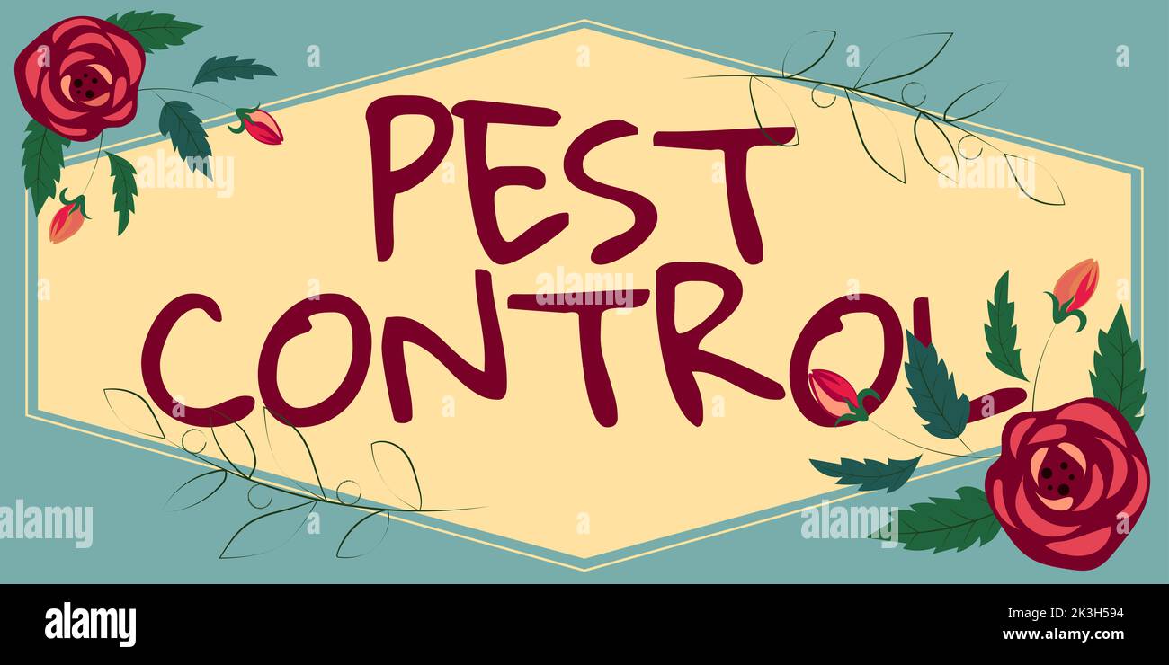 Text caption presenting Pest Control. Business approach Killing ...