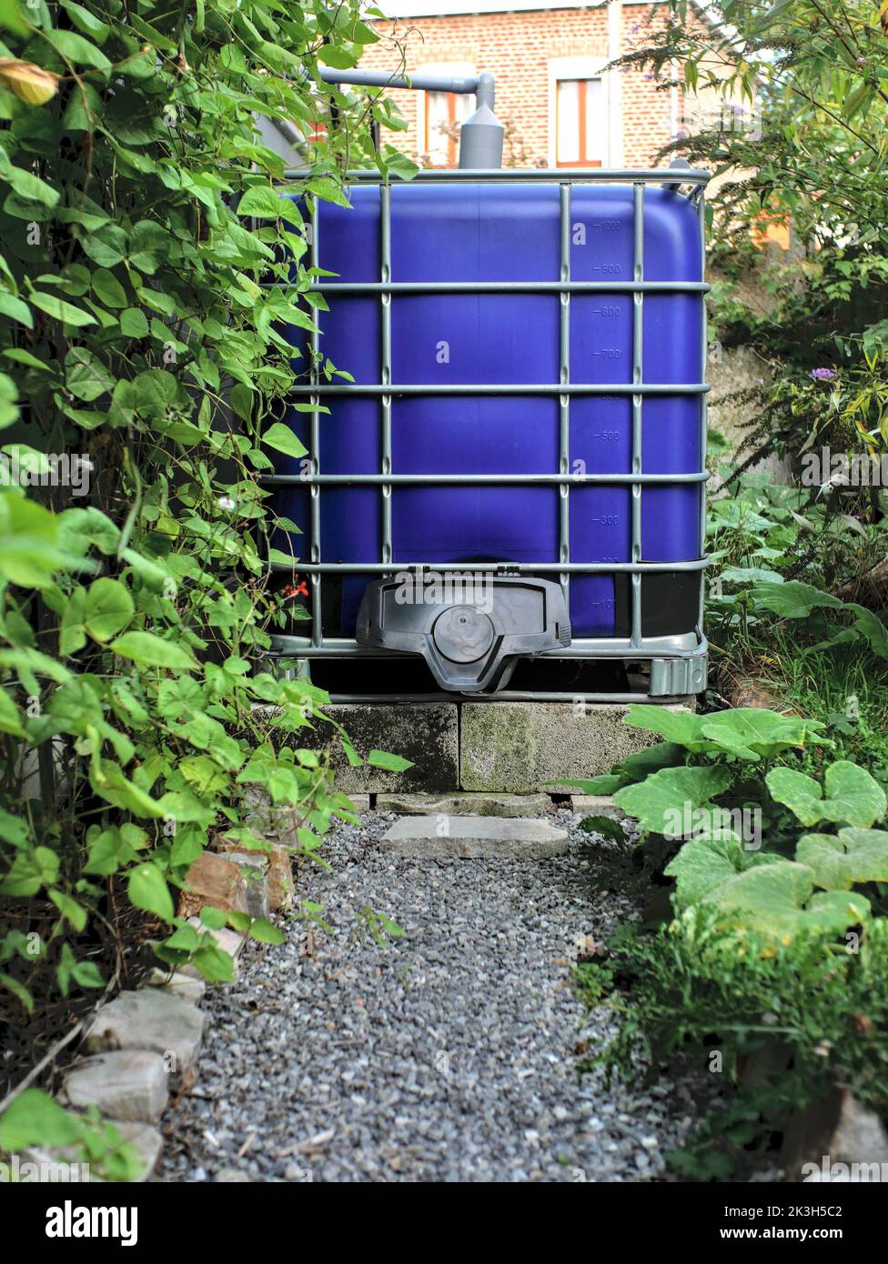 Rainwater collection tank, with blue walls, in a green setting Stock ...
