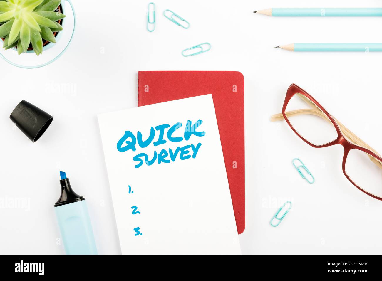 Handwriting text Quick Survey. Word for Conduct fast check on condition ...