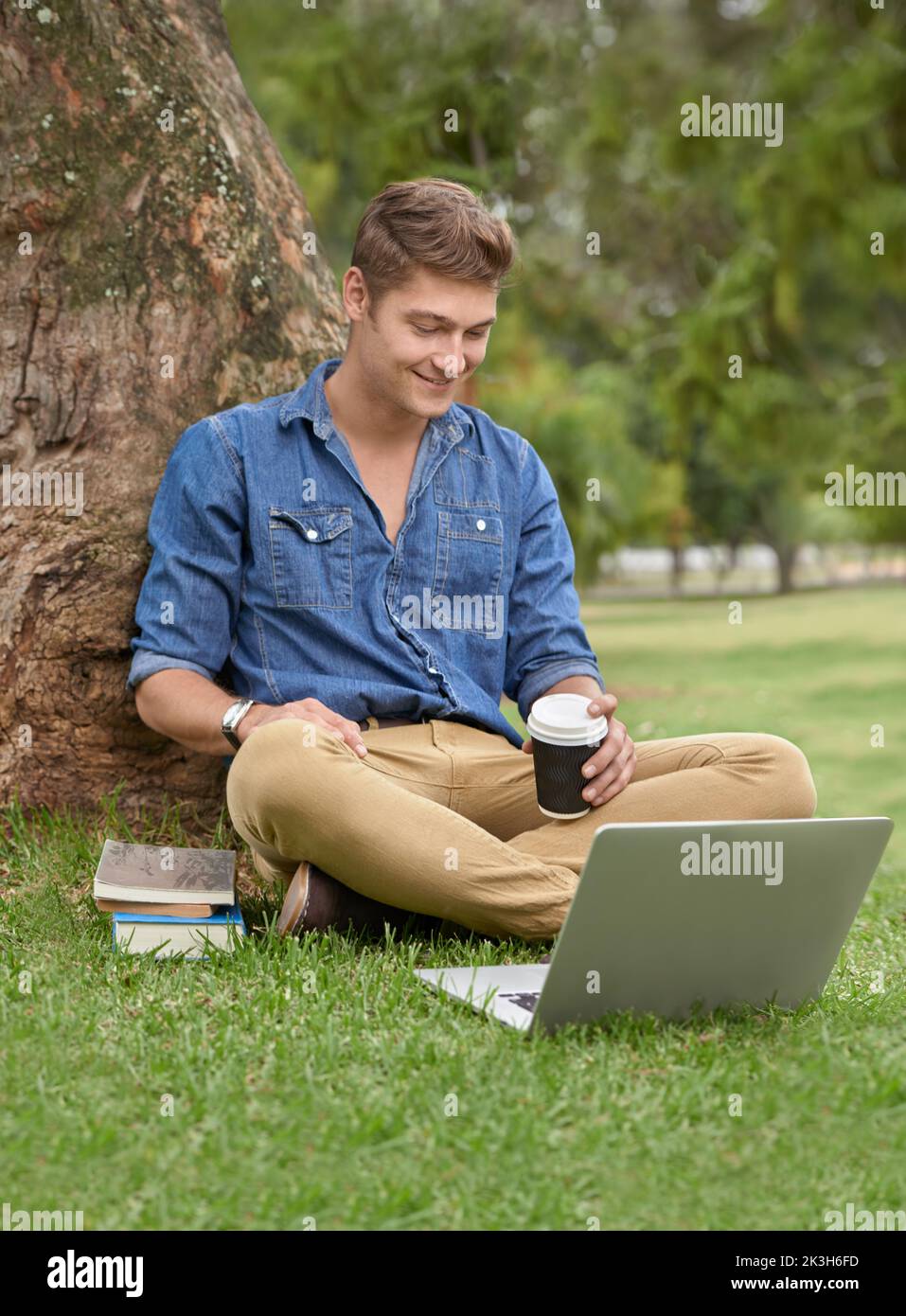 Man studying laptop hi-res stock photography and images - Alamy