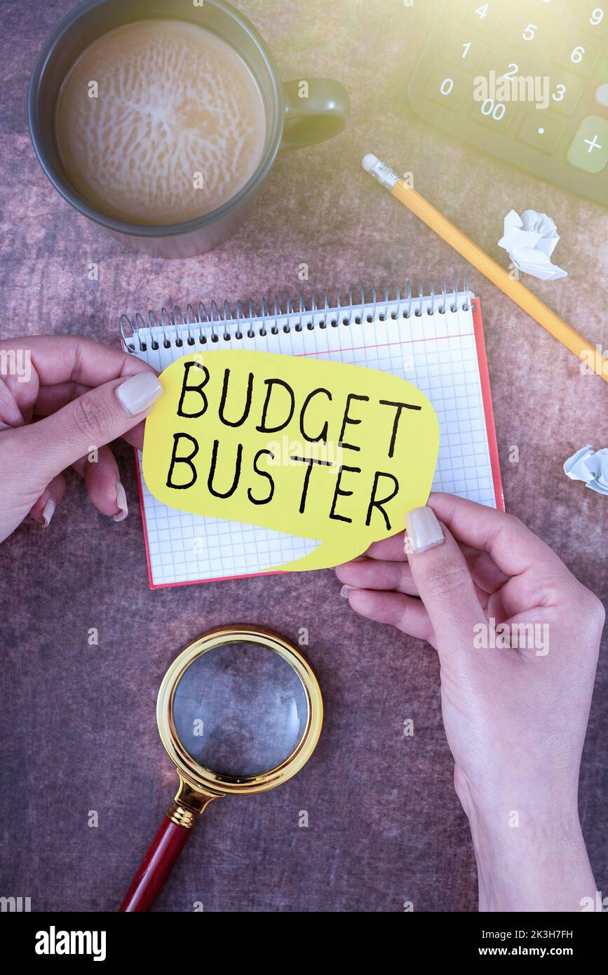 Text caption presenting Budget Buster. Business showcase Carefree ...
