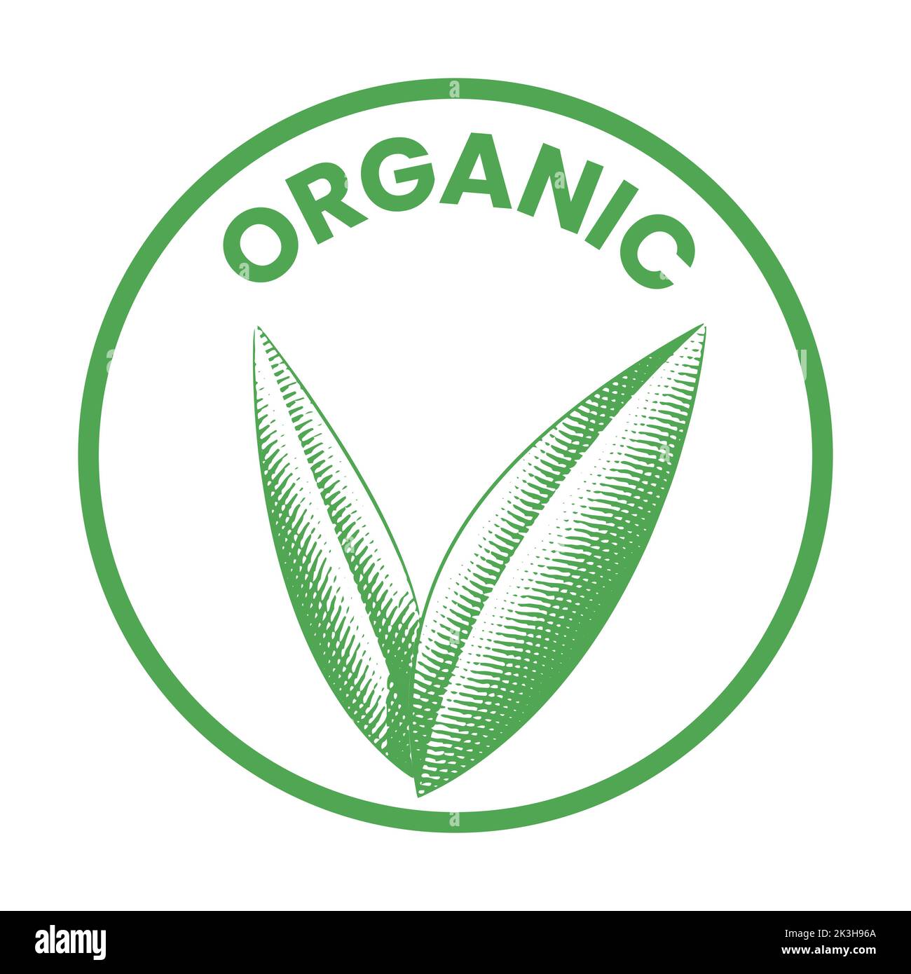 Organic Round Icon with Engraved Green Leaves isolated on a White ...