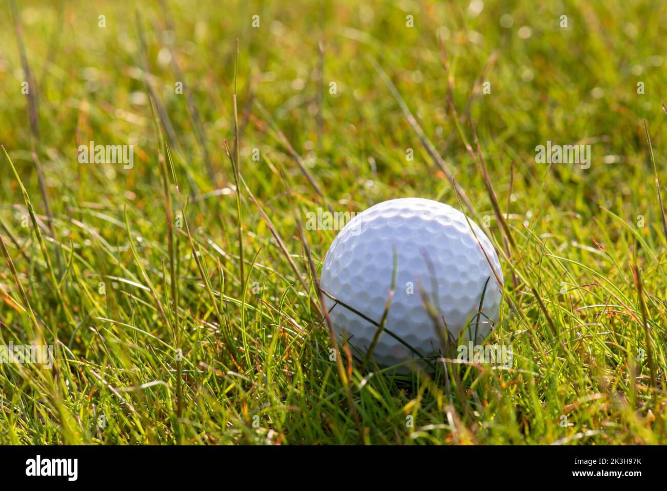 golf course background Golf balls on artificial grass with blur ...