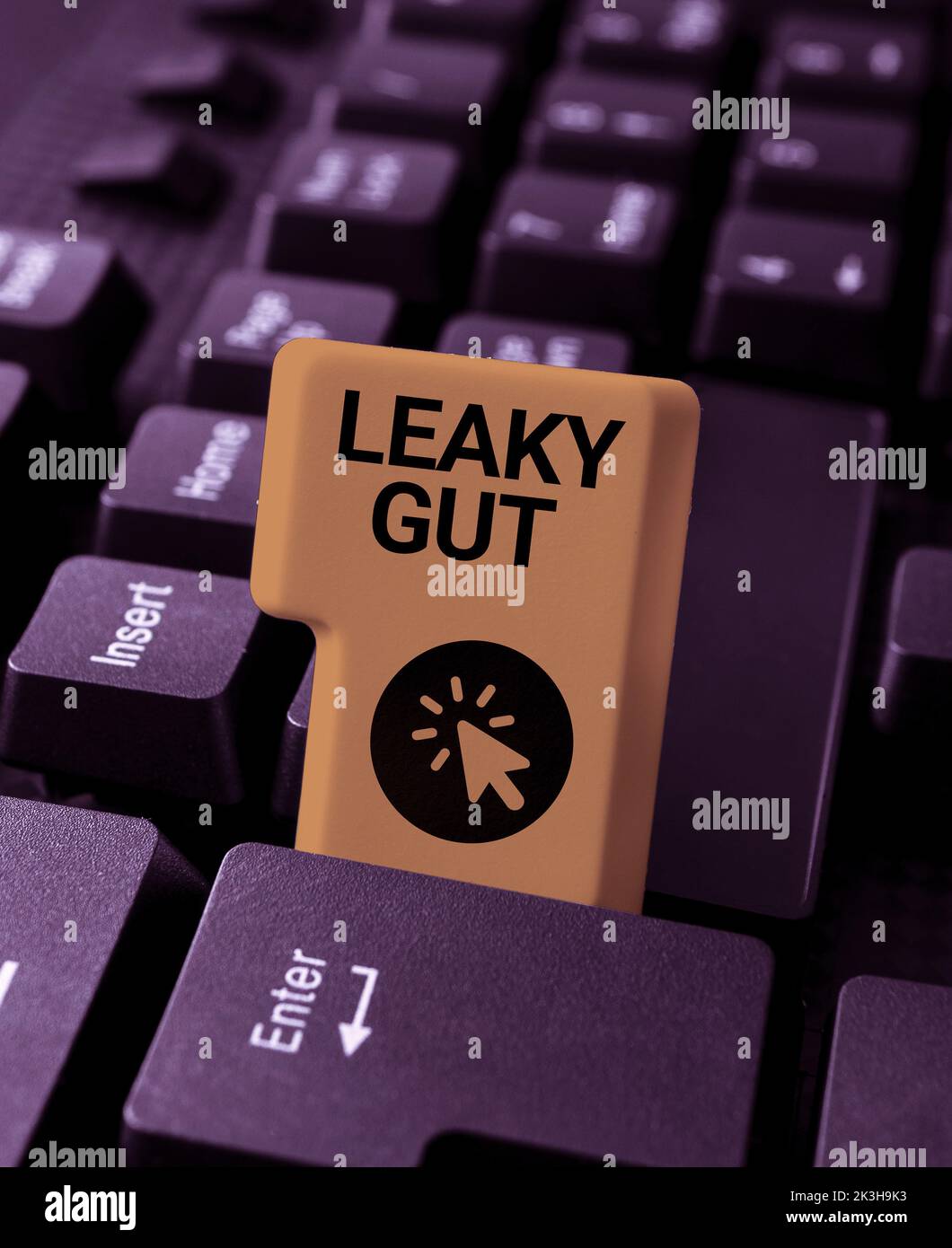 Writing displaying text Leaky Gut. Business showcase A condition in ... Writing displaying text Leaky Gut. Business showcase A condition in ...