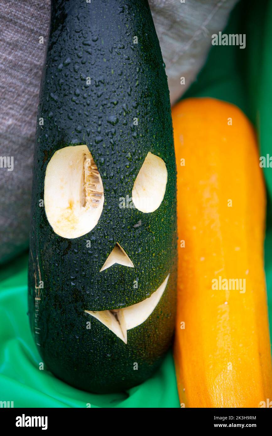 For Halloween, a scary face was carved into a zucchini Stock Photo - Alamy