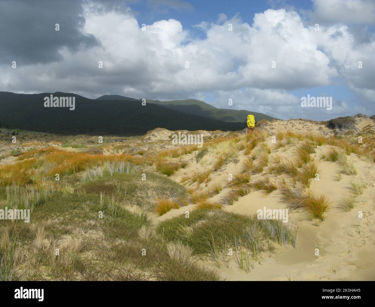 Backpacker. The North West Circuit. Stewart island Rakiura. Southland ...