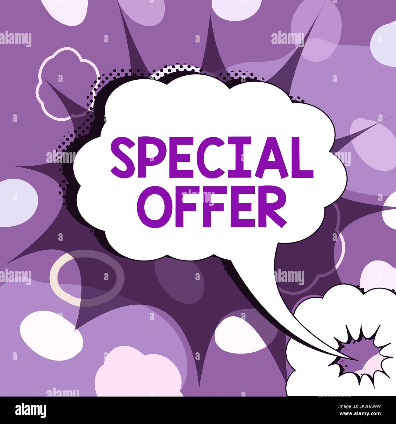 Text sign showing Special Offer, Business showcase Selling at a lower ...