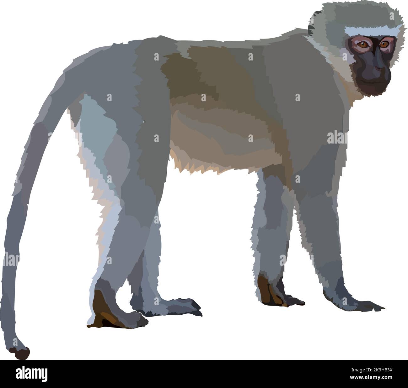 Old orangutan zoo Stock Vector Images - Alamy