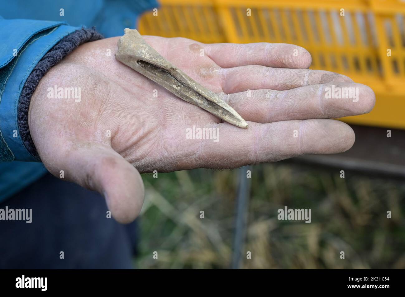 Helfta, Germany. 26th Sep, 2022. This awl from the early Middle Ages ...