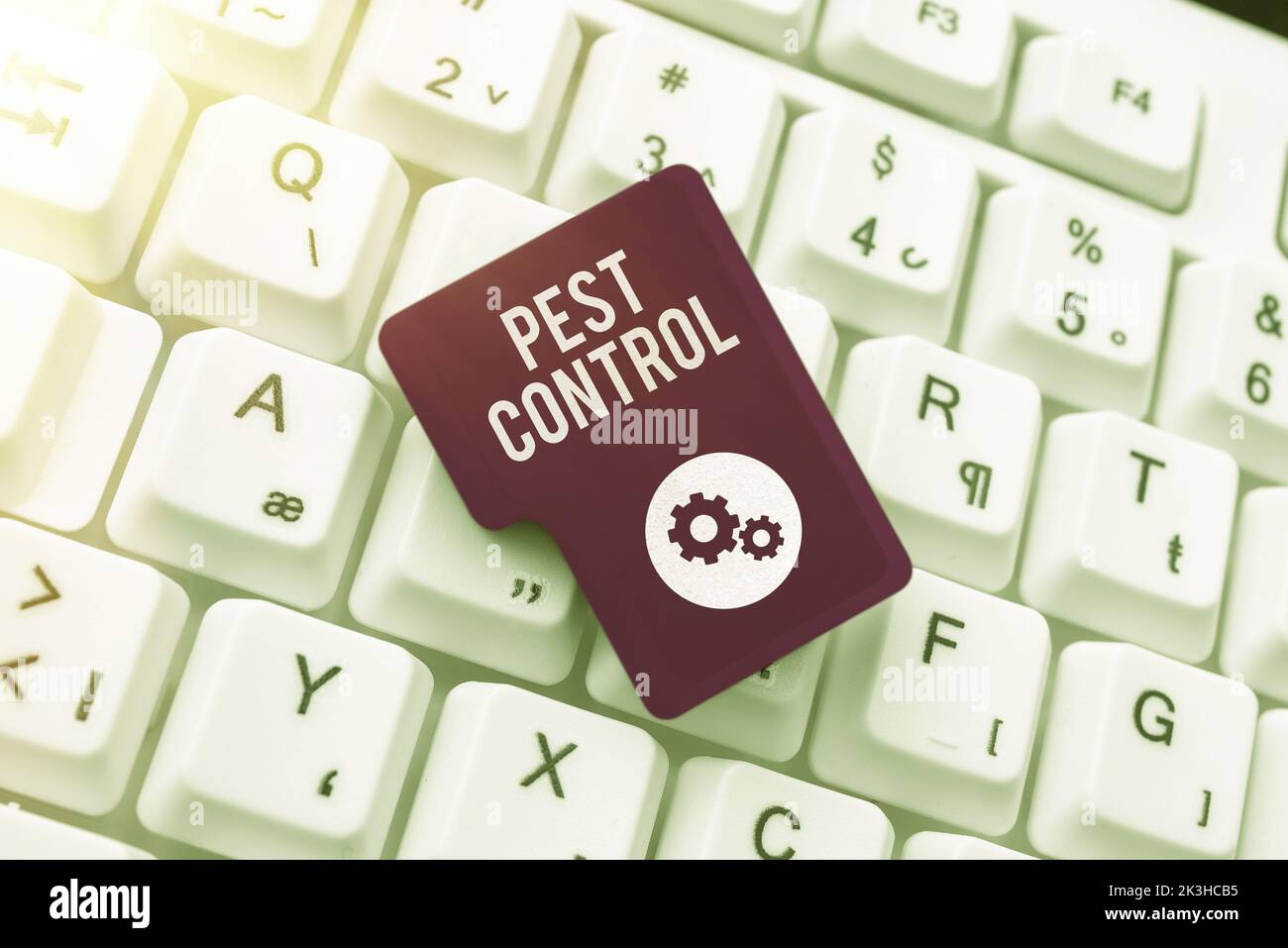 Writing displaying text Pest Control. Word Written on Killing ...