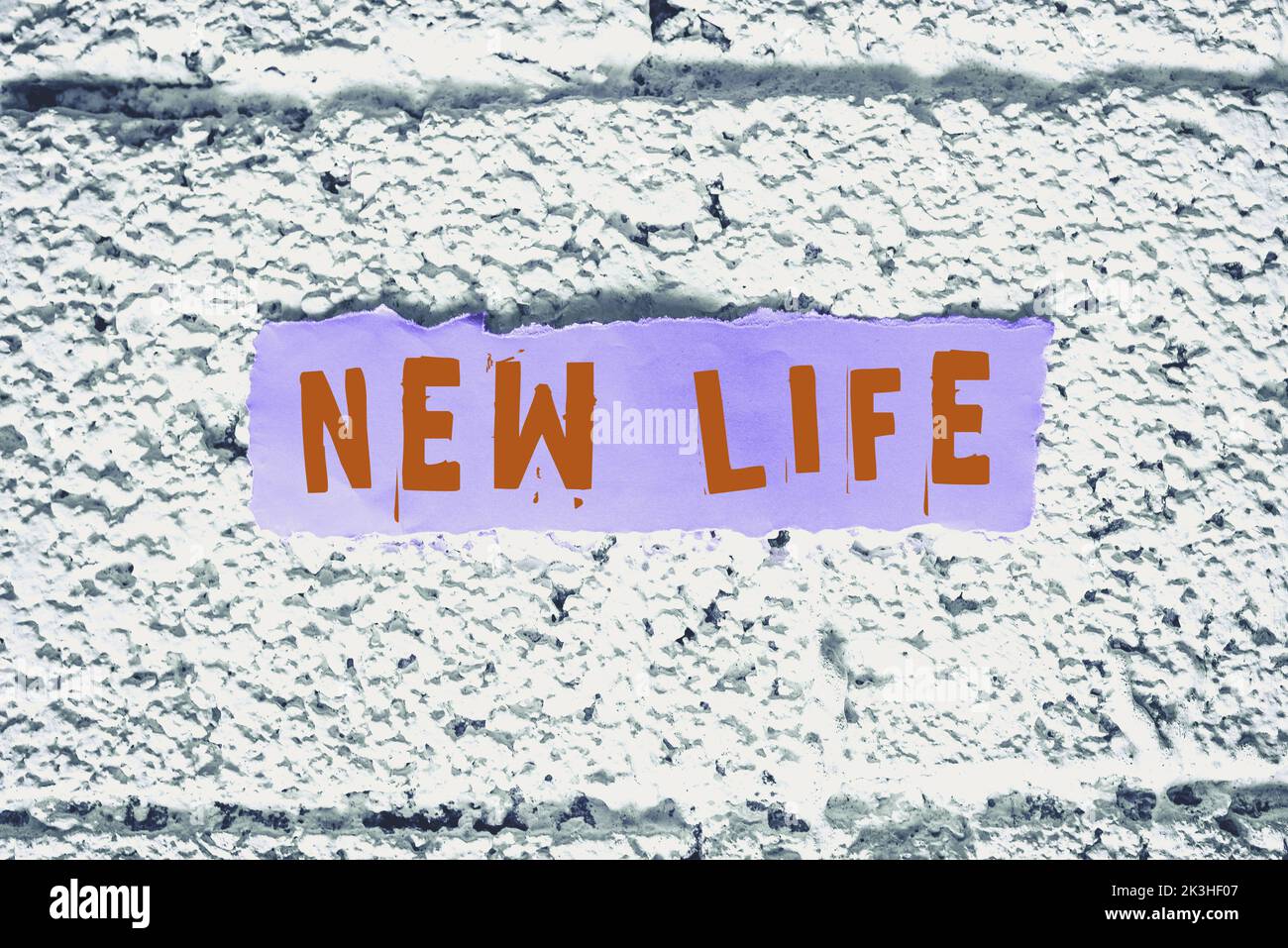 Hand writing sign New Life, Internet Concept start of change in the ...