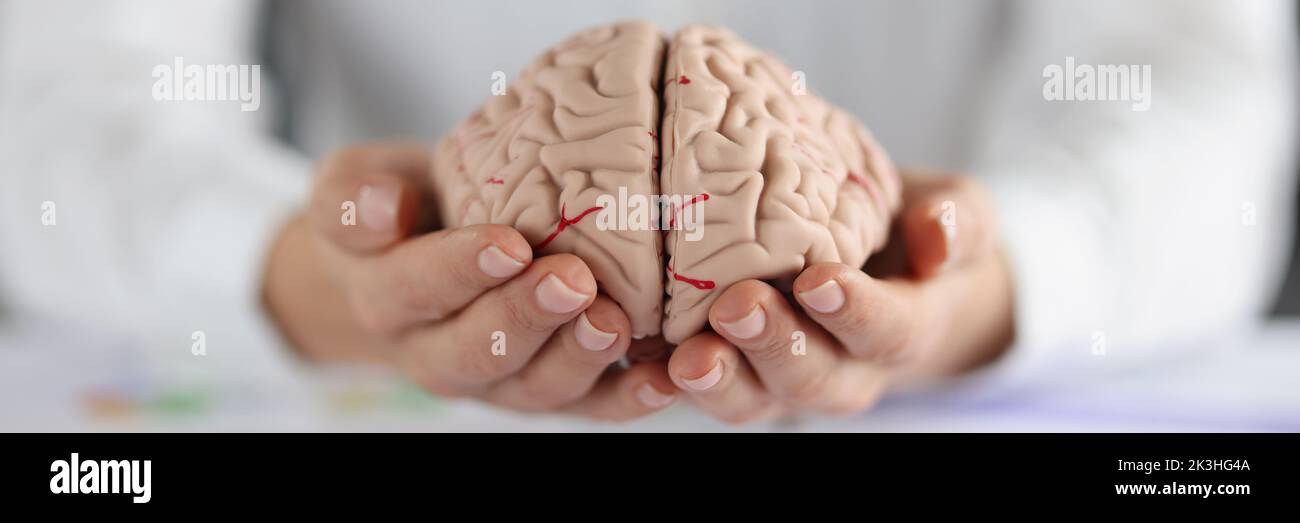 Woman holding on hands two pieces of human brain, female show fullness ...