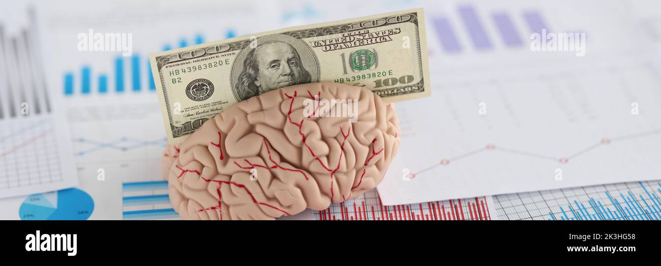 Banknote fit in anatomical model of human brain, miniature put on ...