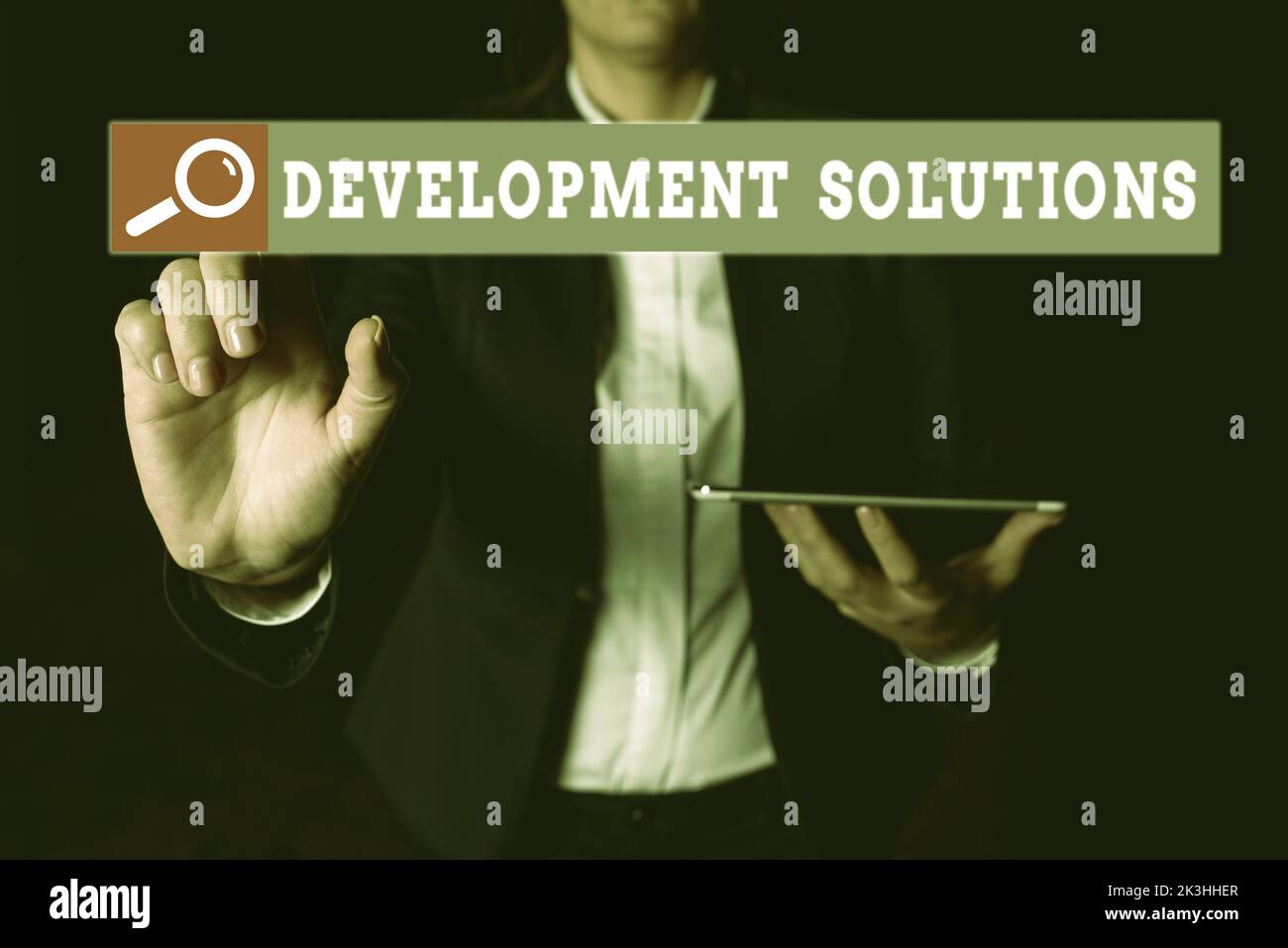 Writing displaying text Development Solutions. Word Written on Efficient Planning based on the ...