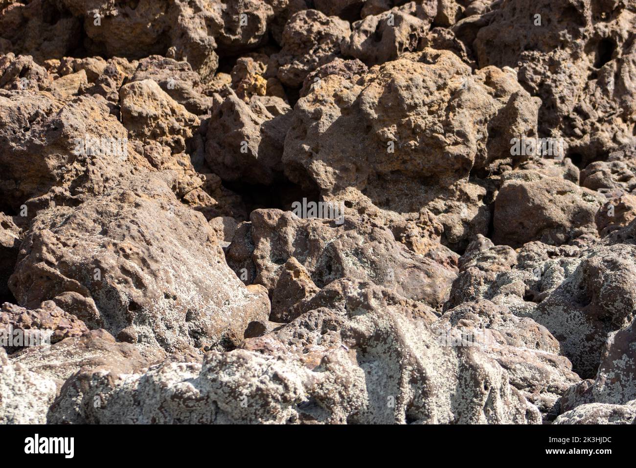 Textured ecosystem hi-res stock photography and images - Alamy