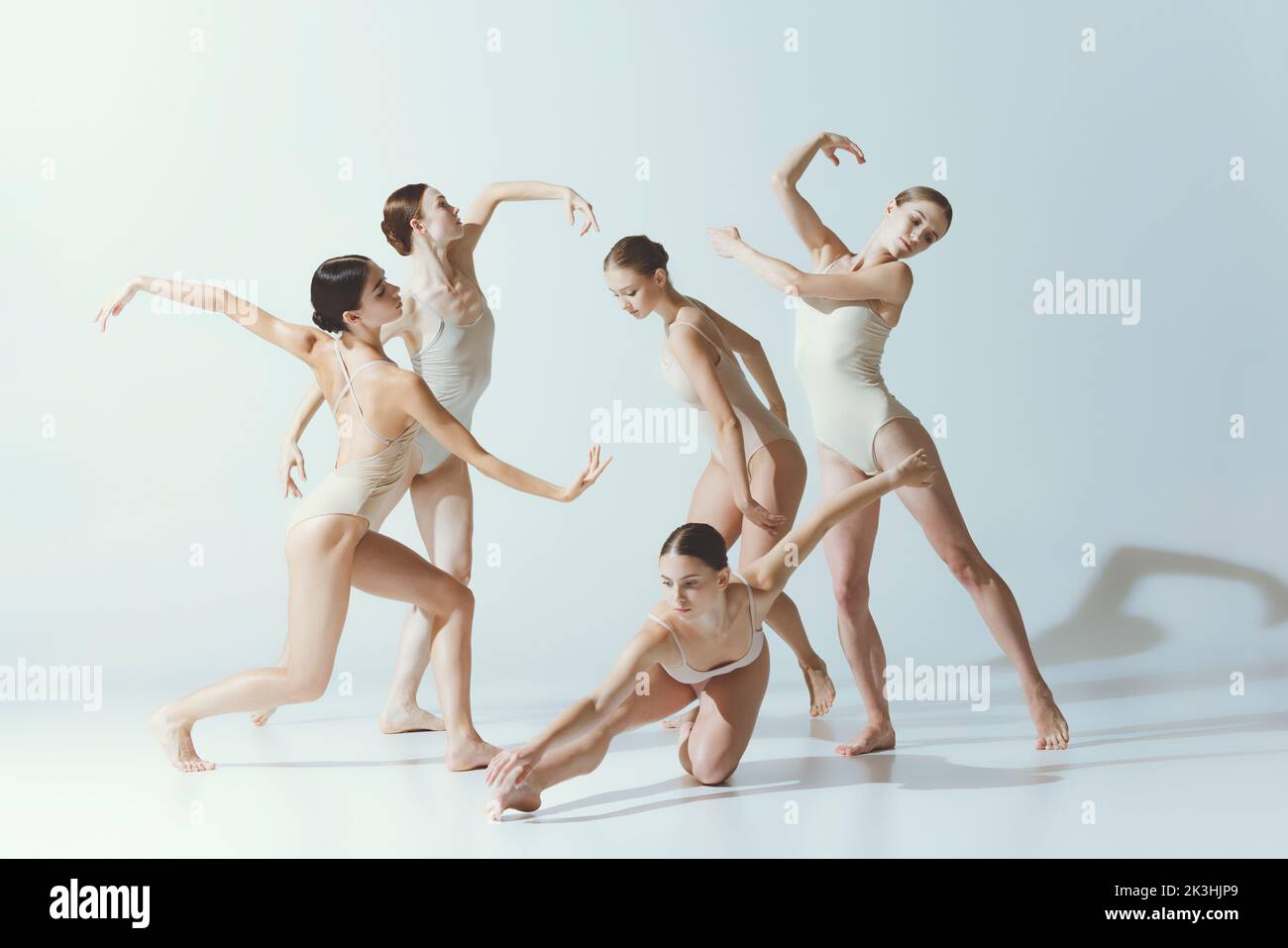 Group of young women, ballerinas dancing, performing isolated over grey ...
