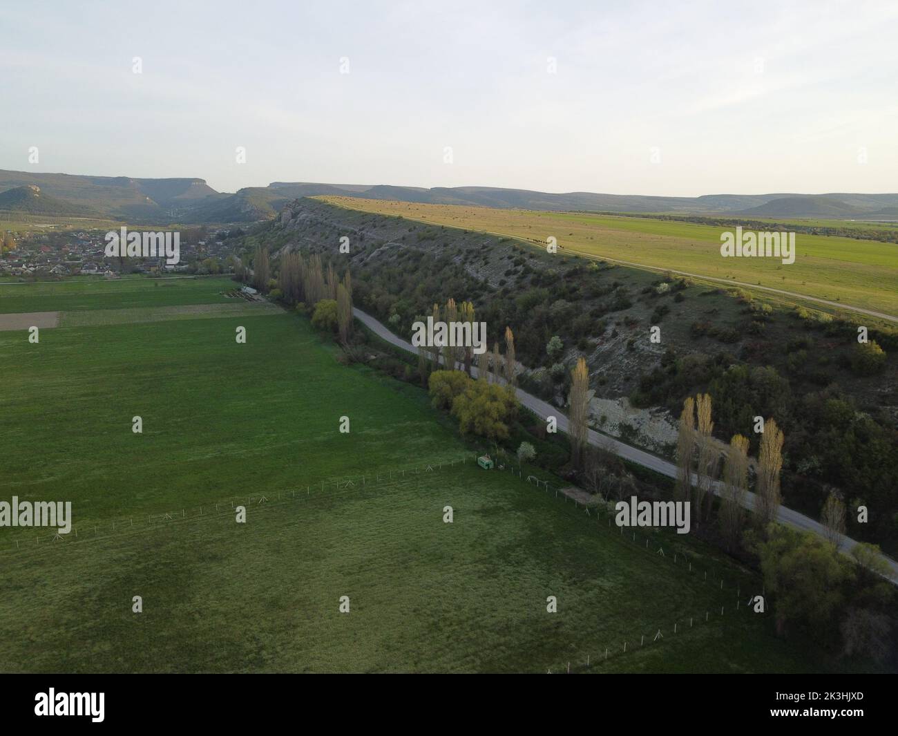AERIAL: Flying over a small herd of cattle cows walking uniformly down ...