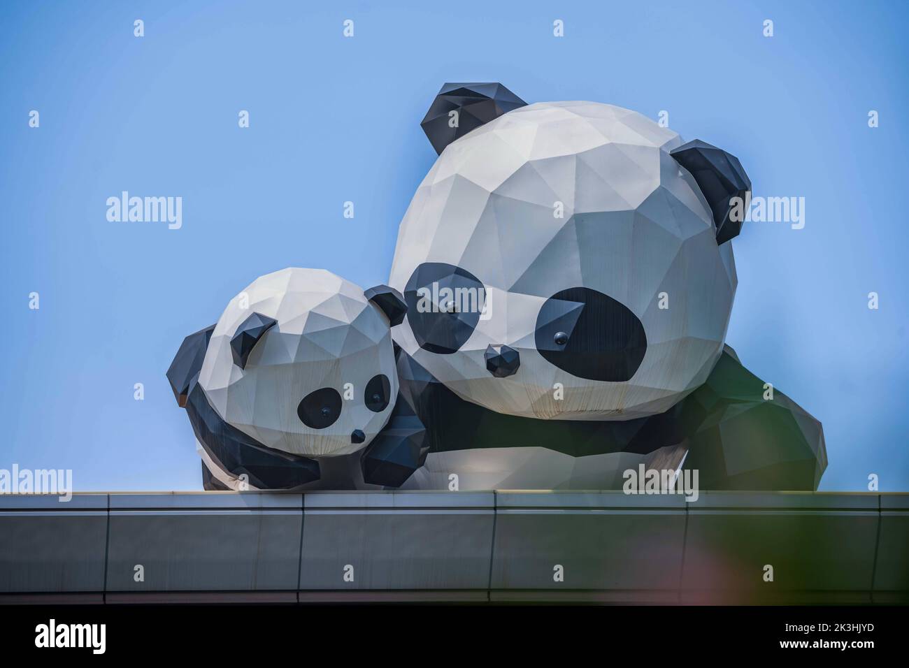 Photo shows the giant panda statue on the top of a building in Nanning ...