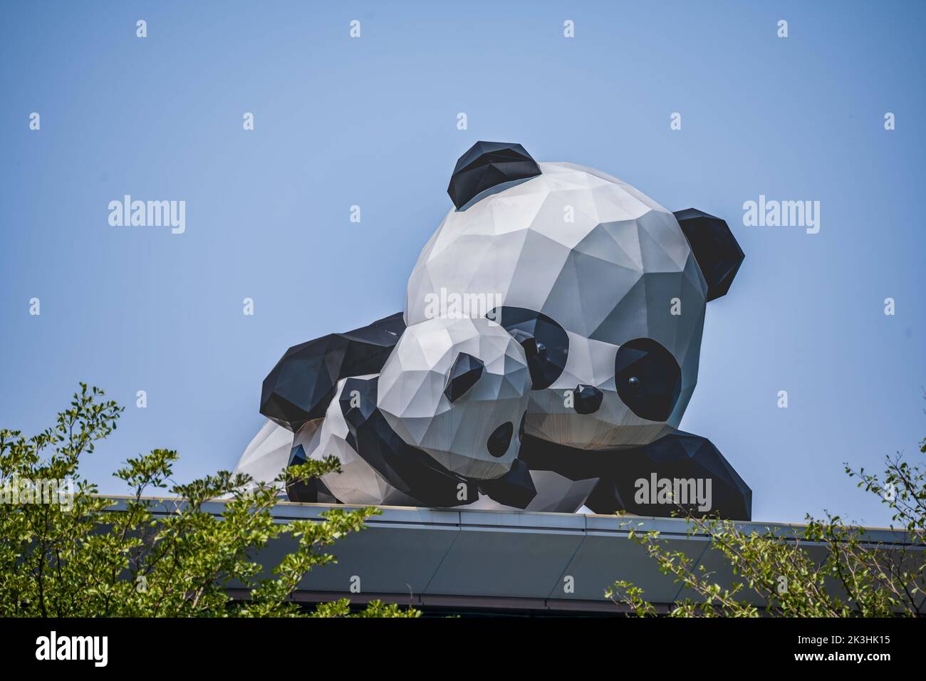Photo shows the giant panda statue on the top of a building in Nanning ...
