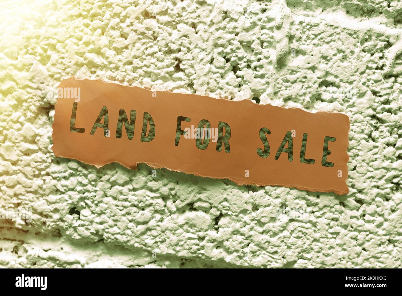 Text caption presenting Land For Sale. Word Written on Real Estate Lot ...