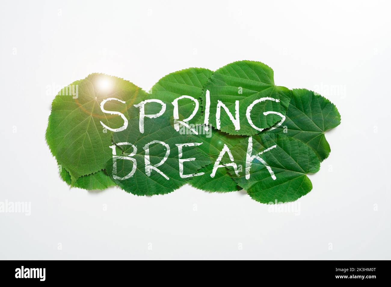 Writing displaying text Spring Break. Business idea Vacation period at ...