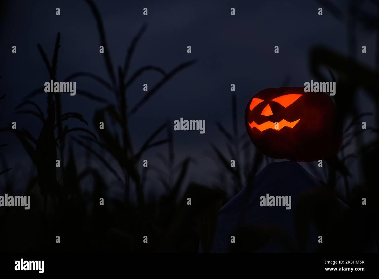 Scarecrow in corn field hi-res stock photography and images - Alamy