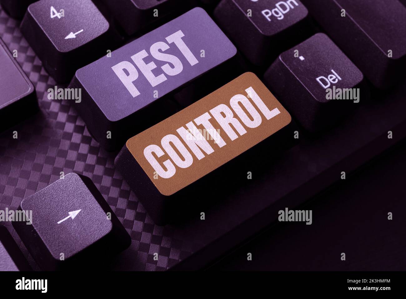 Text sign showing Pest Control. Concept meaning Killing destructive ...